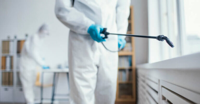 Emergency Pest Control in Greater London – Emergency Pest Control